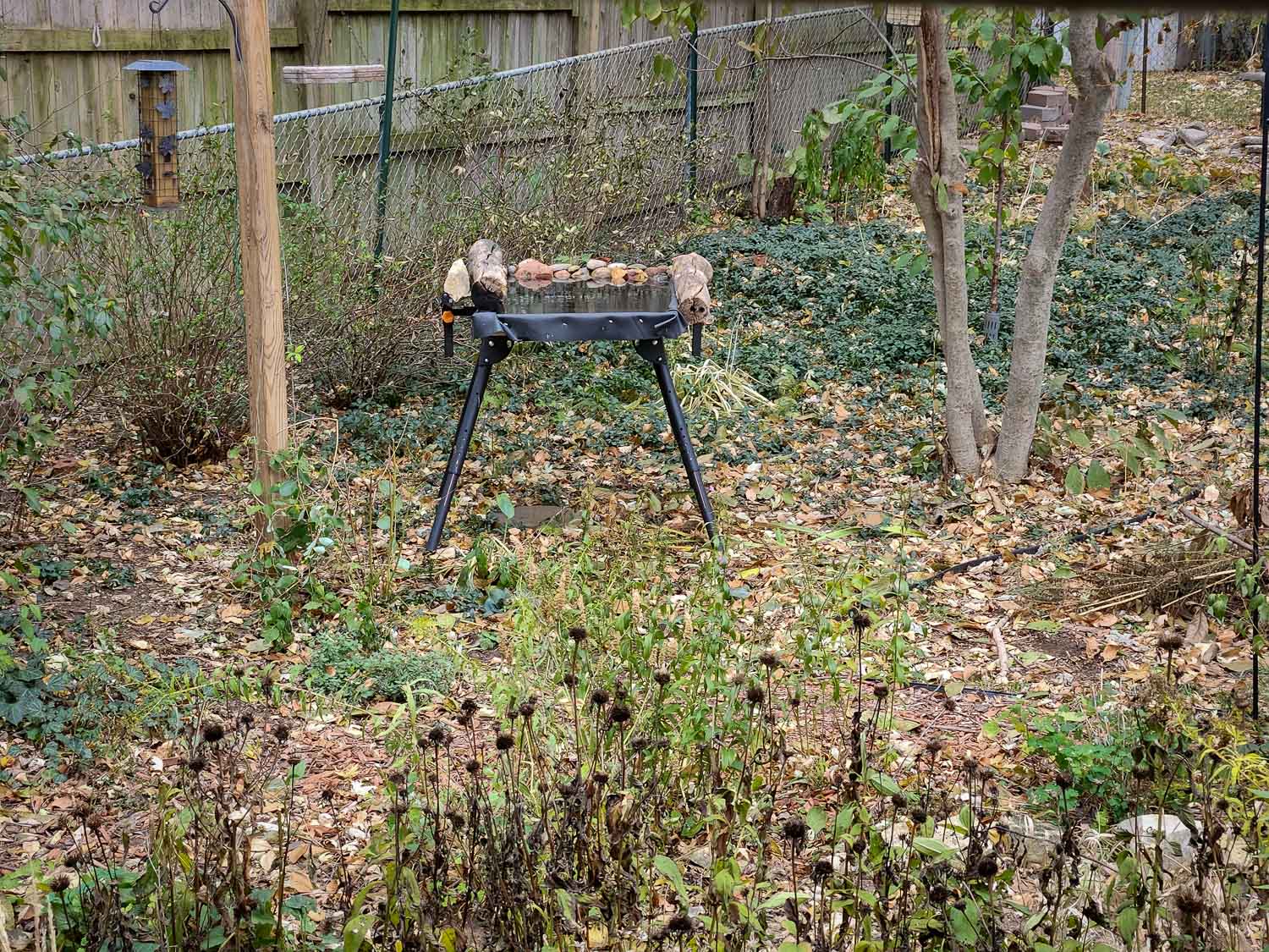 Setting up a small reflecting pool for backyard bird photography ...